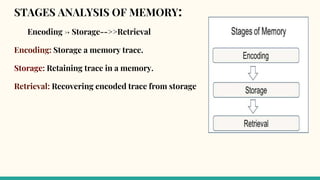 MEMORY | PPT