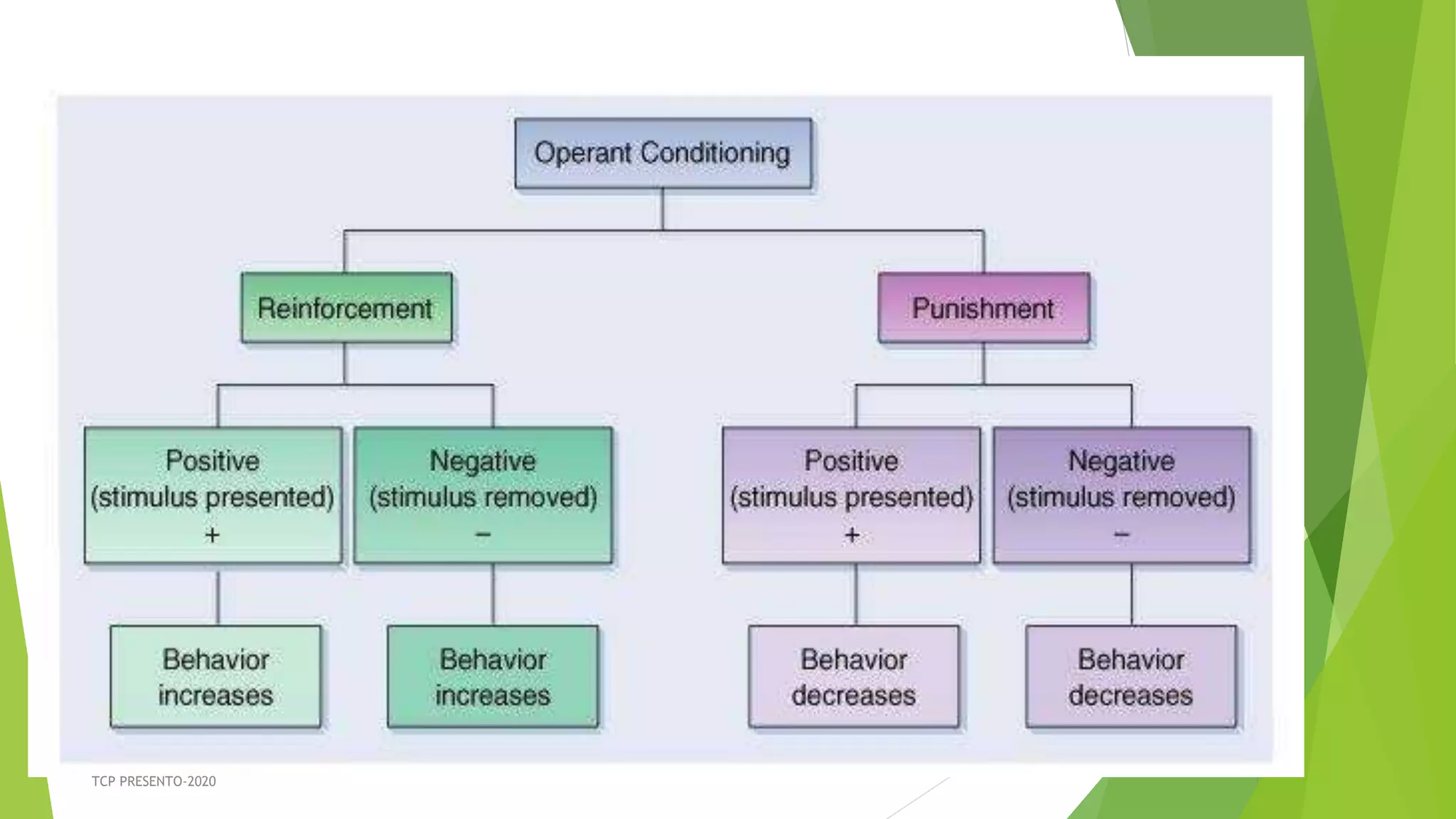OPERANT CONDITIONING THEORY | PPT