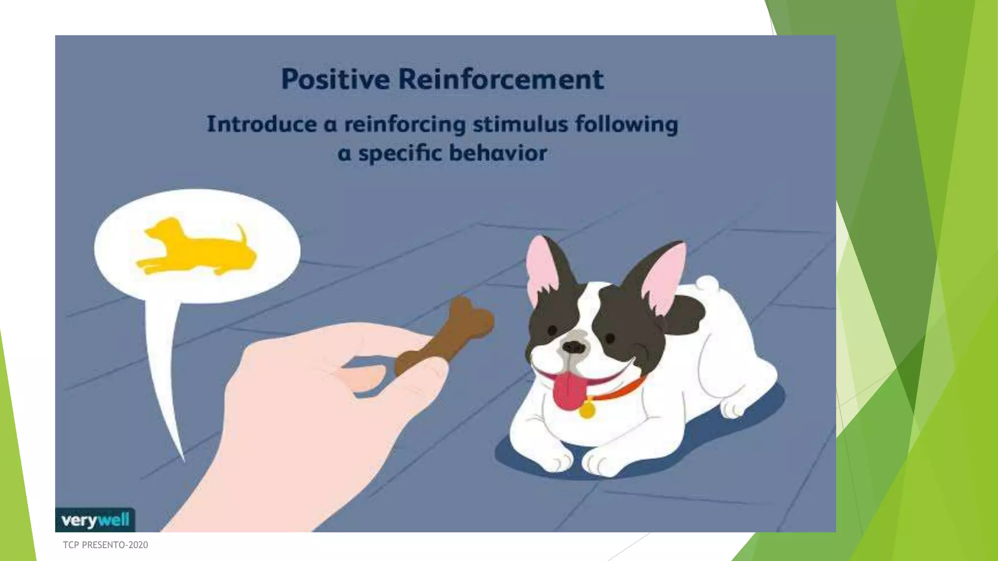 OPERANT CONDITIONING THEORY | PPT