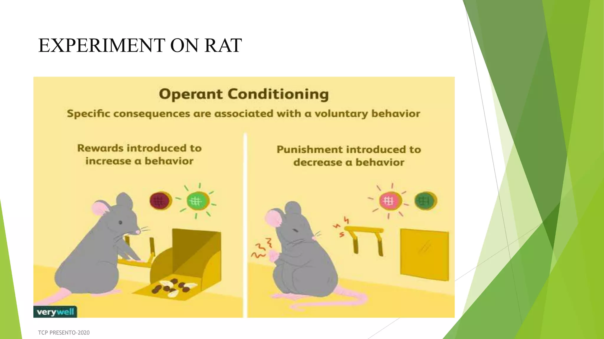 OPERANT CONDITIONING THEORY | PPT