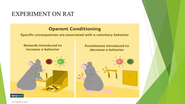 OPERANT CONDITIONING THEORY | PPT