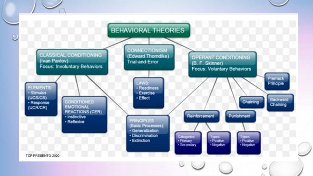 OPERANT CONDITIONING THEORY | PPT