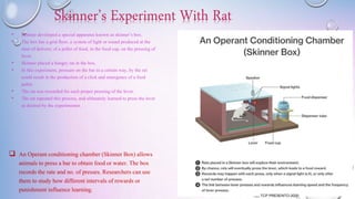 OPERANT CONDITIONING THEORY | PPT