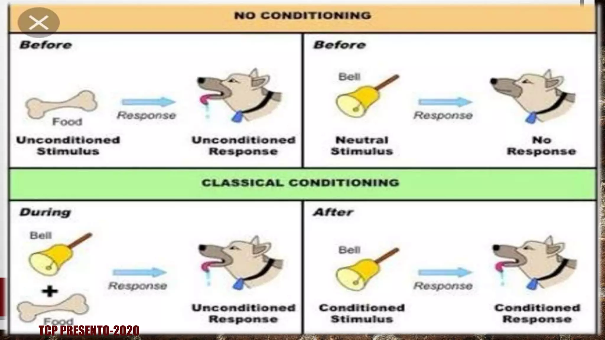 PAVLOV'S CLASSICAL CONDITIONING THEORY | PPTX
