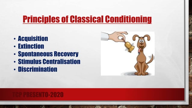 PAVLOV'S CLASSICAL CONDITIONING THEORY | PPTX | Science