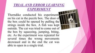 THORNDIKE'S TRAIL AND ERROR METHOD | PPTX