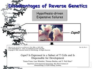 Introduction to Mouse genetic model second | PPT