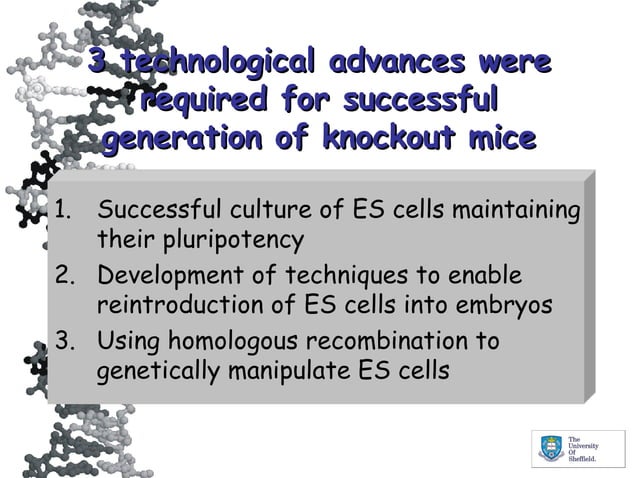Introduction to Mouse genetic model first | PPT