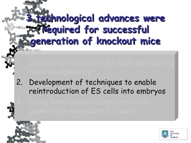 Introduction to Mouse genetic model first | PPT