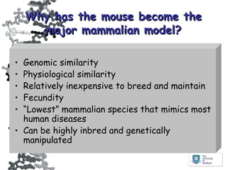 Introduction to Mouse genetic model first | PPT