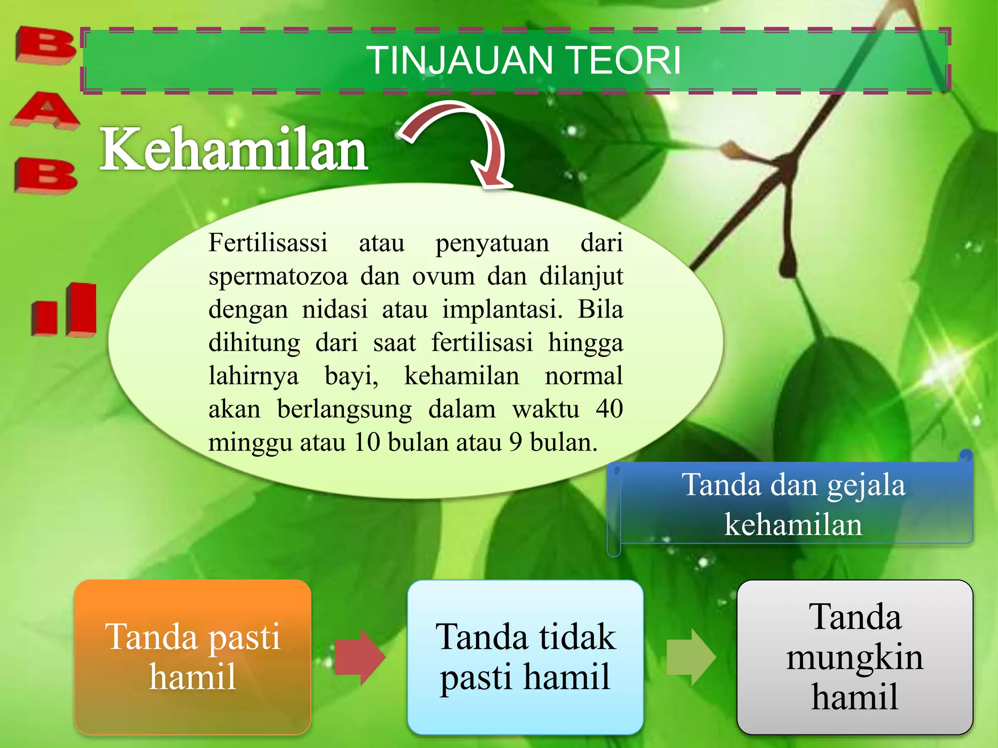 PPT LTA KEBIDANAN | PPTX