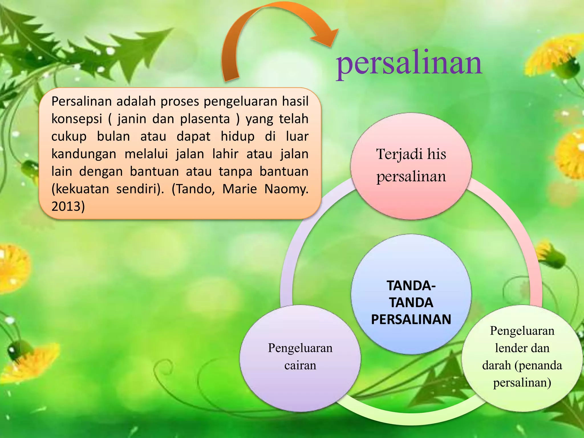 PPT LTA KEBIDANAN | PPTX