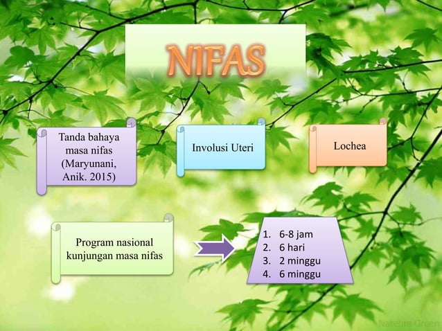 PPT LTA KEBIDANAN | PPTX