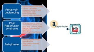 Liver Transplant Anaesthesia- perioperative care | PPTX
