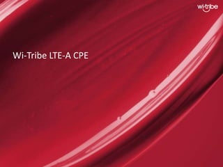 Witribe Customer Premises Equipment Training for LTE | PPTX