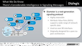 Get Ready for the Next Generation Diameter Signaling Controller (DSC) | PDF