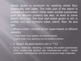 Plant based Protien | PPTX
