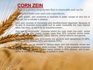 Plant based Protien | PPTX