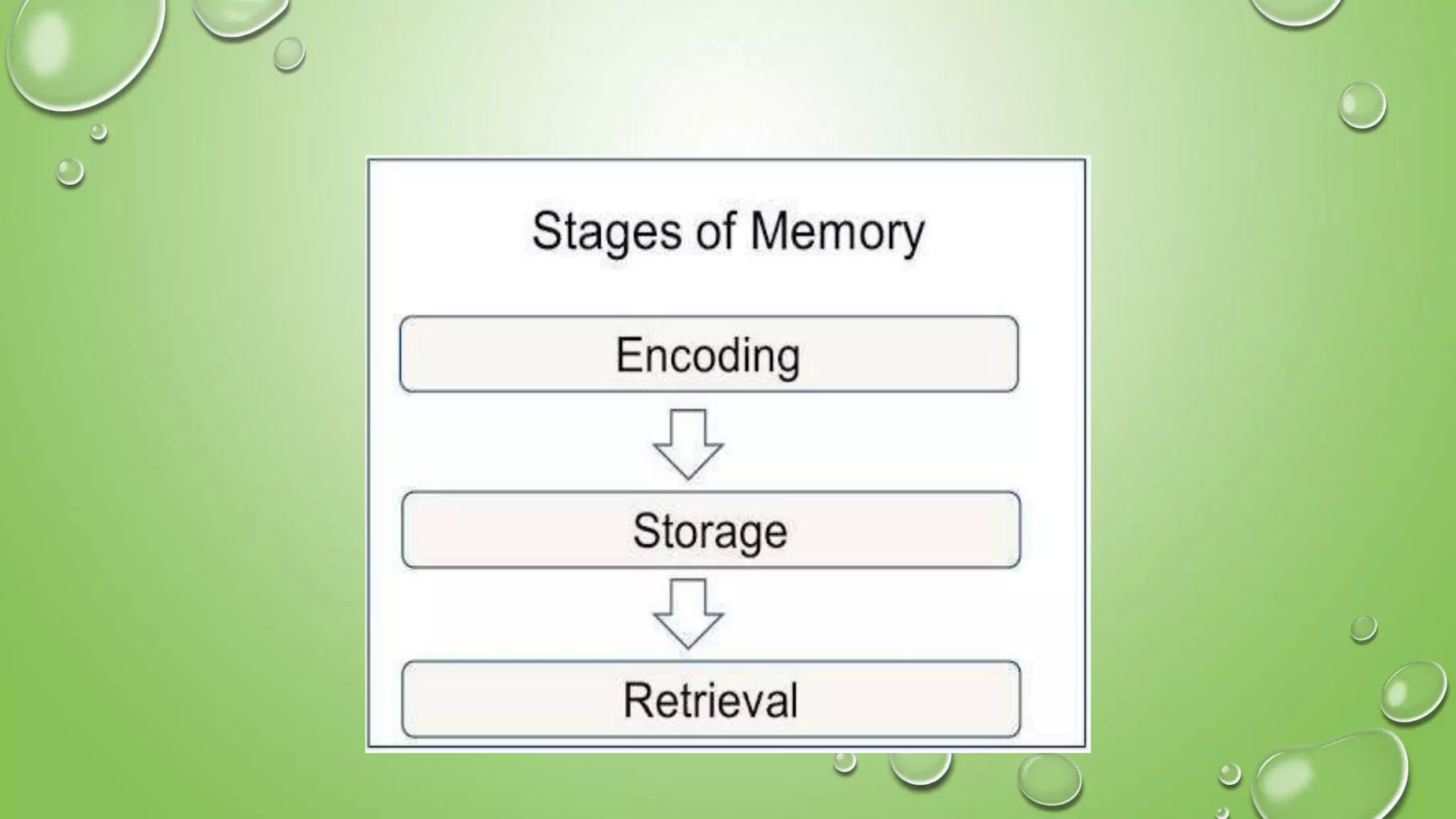 Long term memory | PPTX