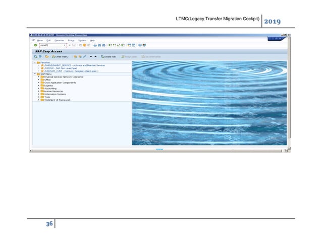 Migration Cockpit (LTMC) | PDF