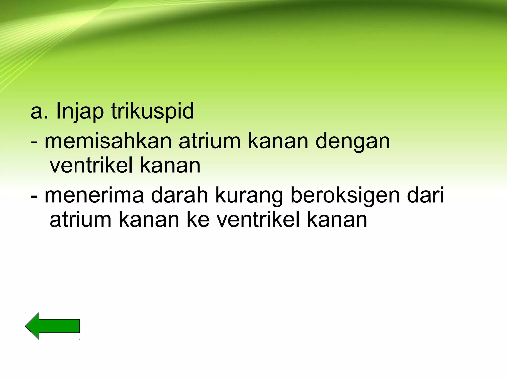 Sistem Kardiovaskular Jantung | PPT