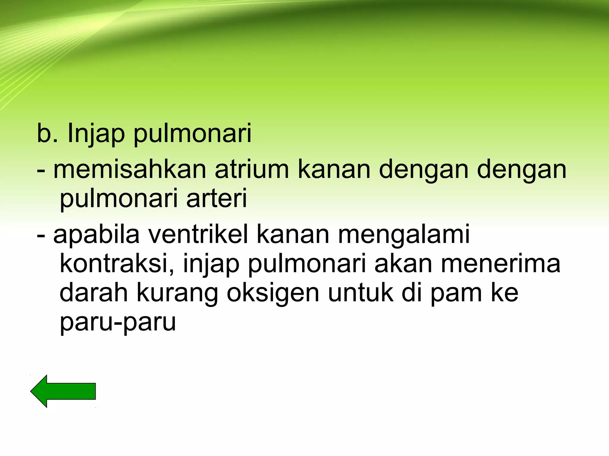 Sistem Kardiovaskular Jantung | PPT