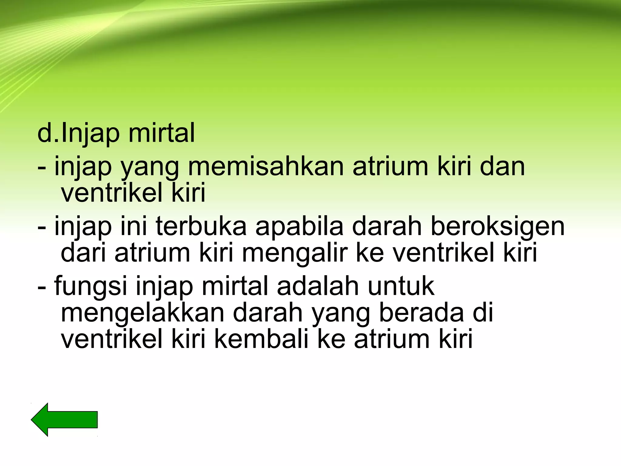 Sistem Kardiovaskular Jantung | PPT