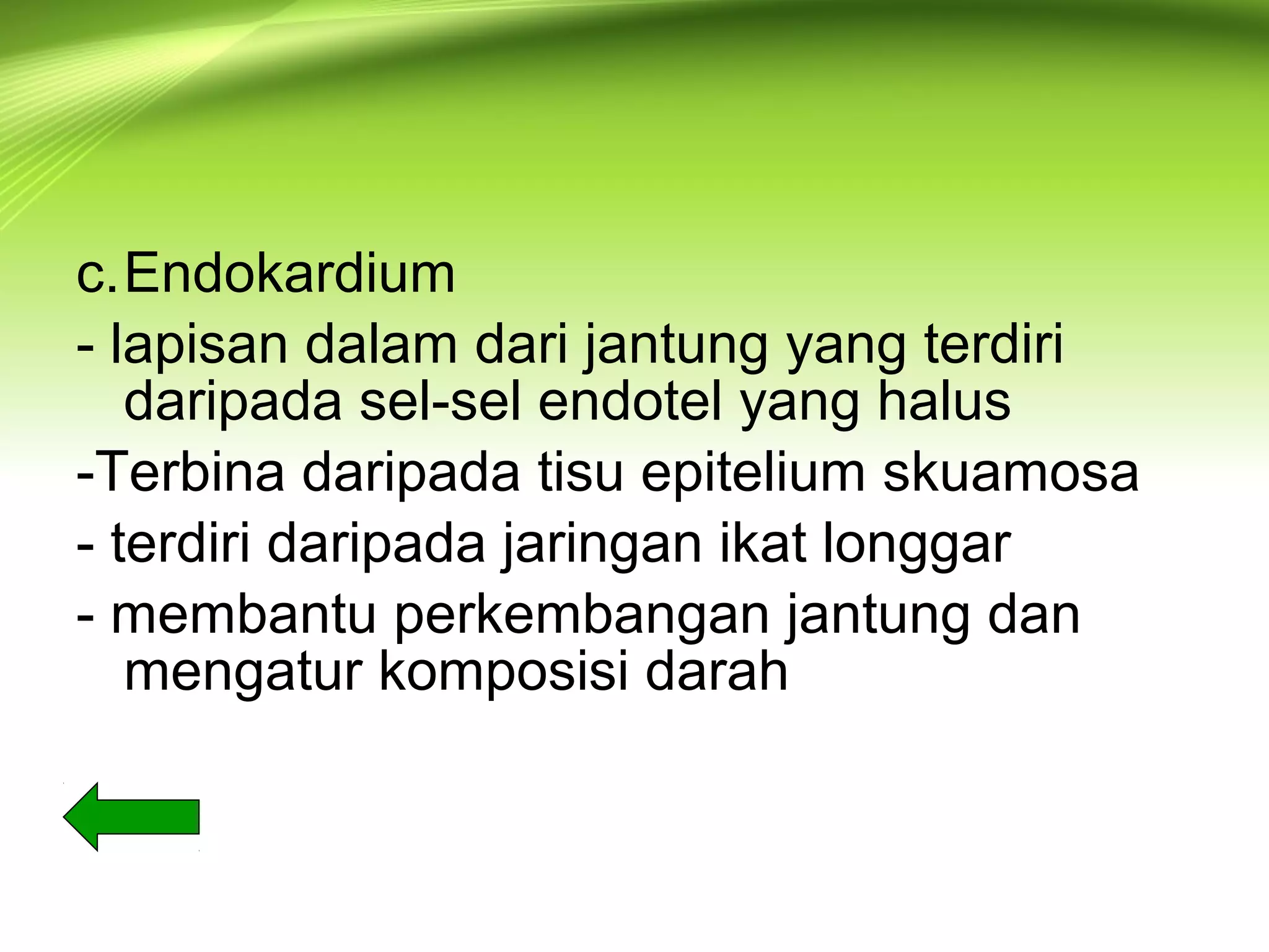 Sistem Kardiovaskular Jantung | PPT
