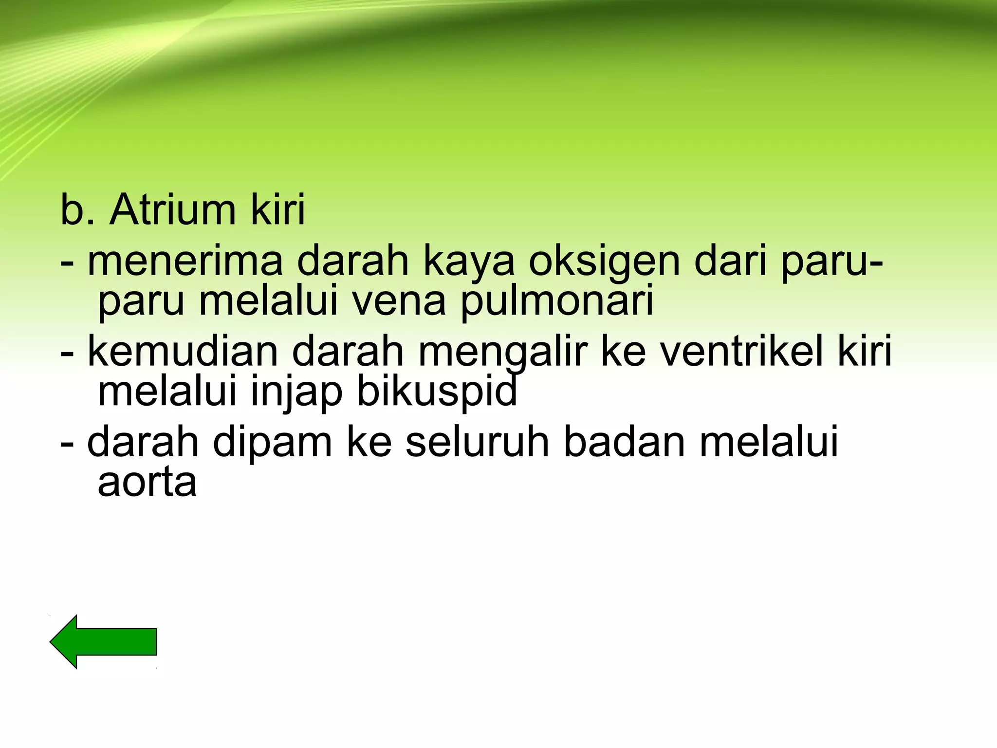 Sistem Kardiovaskular Jantung | PPT