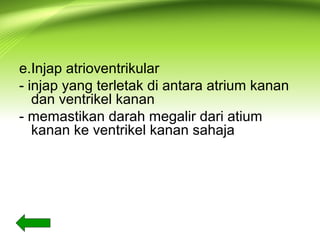 Sistem Kardiovaskular Jantung | PPT