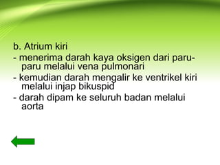 Sistem Kardiovaskular Jantung | PPT