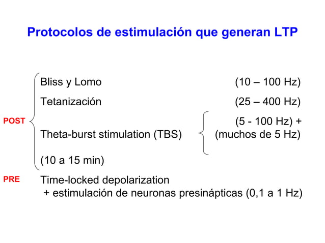 LTP y RECEPTOR NMDA | PPT | Brain and Nervous System Disorders ...