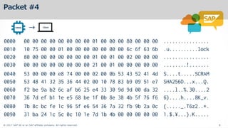 LT SAP HANAネットワークプロトコル初段 | PDF