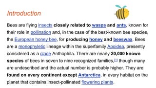Bees | PPTX