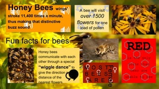 Bees | PPTX