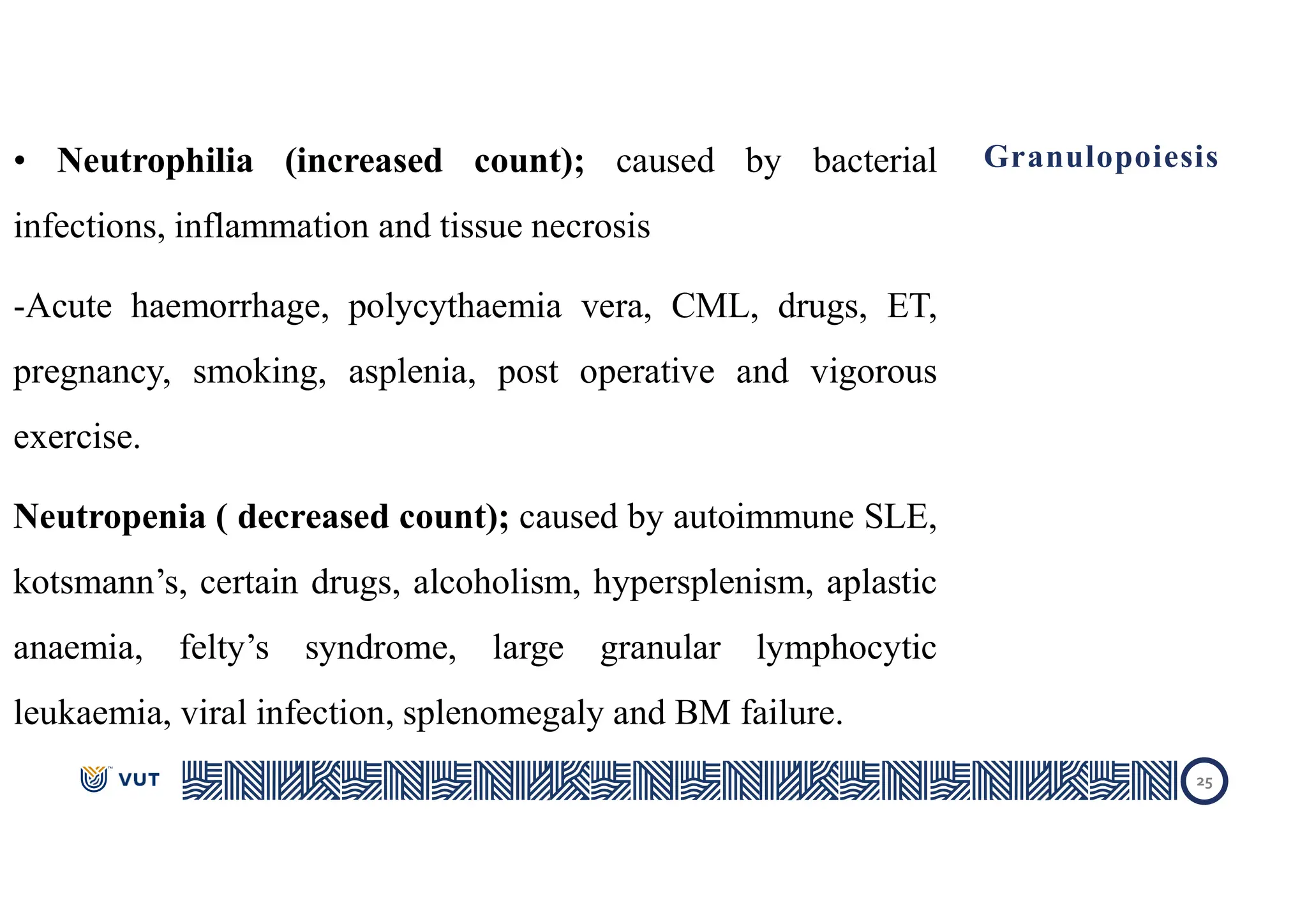 Hematology Granulopoiesis White blood cell production | PDF