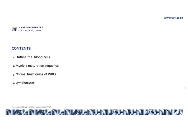 Hematology Granulopoiesis White blood cell production | PDF