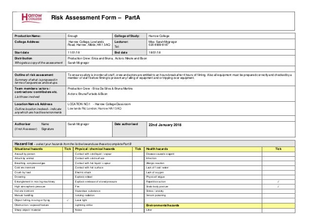 Camhs Risk Assessment Template