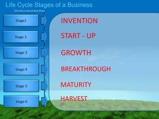Lu4 – life cycle stages of a business | PPTX