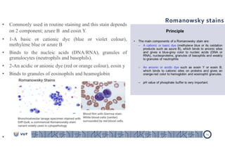 LU7.pdf Haematology Special stains, diagnosing leukemia | PPT
