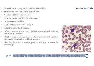 LU7.pdf Haematology Special stains, diagnosing leukemia | PPT