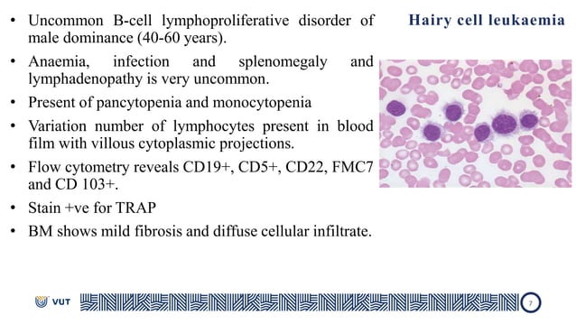 LU9 Haematology Lymphoproliferative disorders.pptx