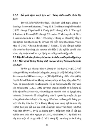 Luận án: Đặc điểm kháng kháng sinh và gen ở chủng Salmonella | PDF