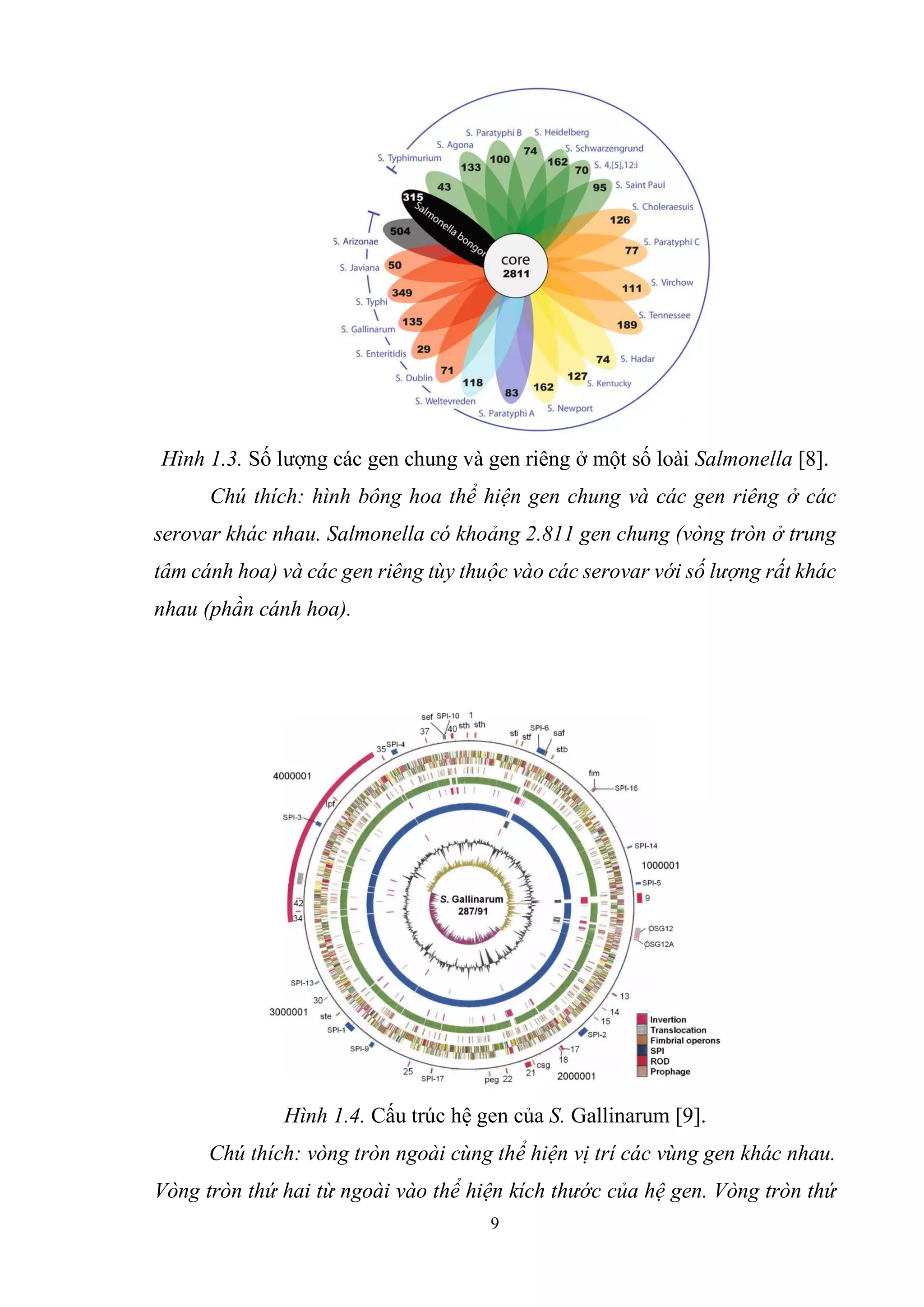 Đặc điểm kháng kháng sinh ở các chủng salmonella đa kháng, HAY | PDF
