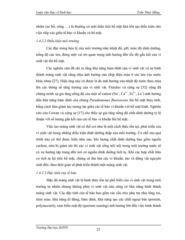 Luận văn: Chủng vi sinh vật có khả năng tạo màng sinh vật phân lập | PDF