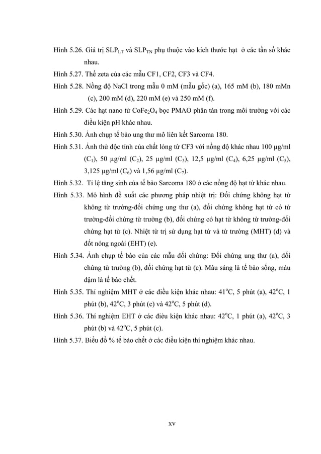 Luận án: Cơ chế đốt nóng từ trong hệ hạt nano ferit spinel, HAY | PDF