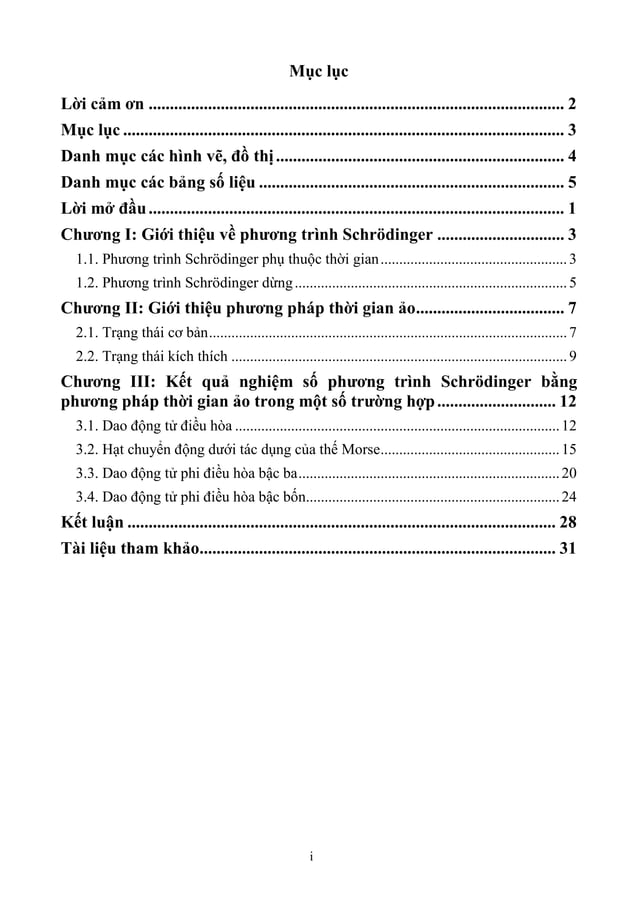Đề tài: Giải phương trình schrödinger dừng bằng thời gian ảo, HAY | PDF