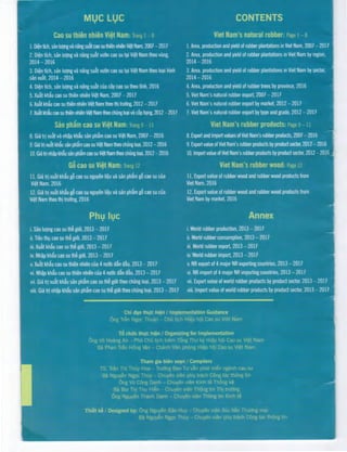 Free Tổng hợp dữ liệu thống kê ngành cao su Việt Nam | PDF