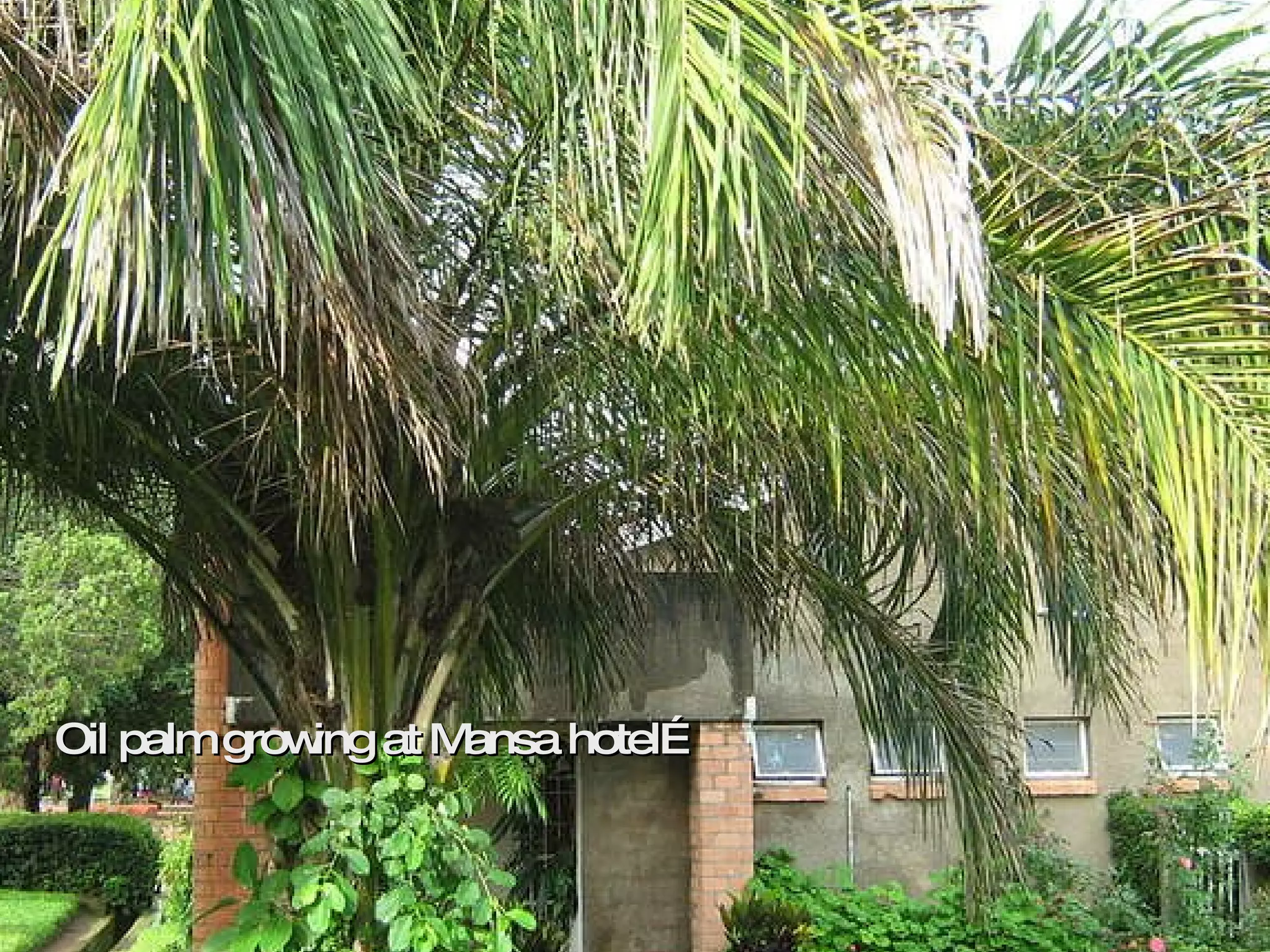 images of luapula of Zambia | PPT