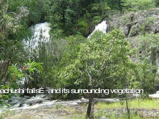 images of luapula of Zambia | PPT